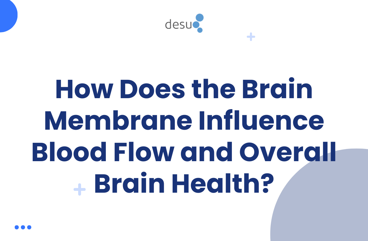 How Does the Brain Membrane Influence Blood Flow and Overall Brain Health?