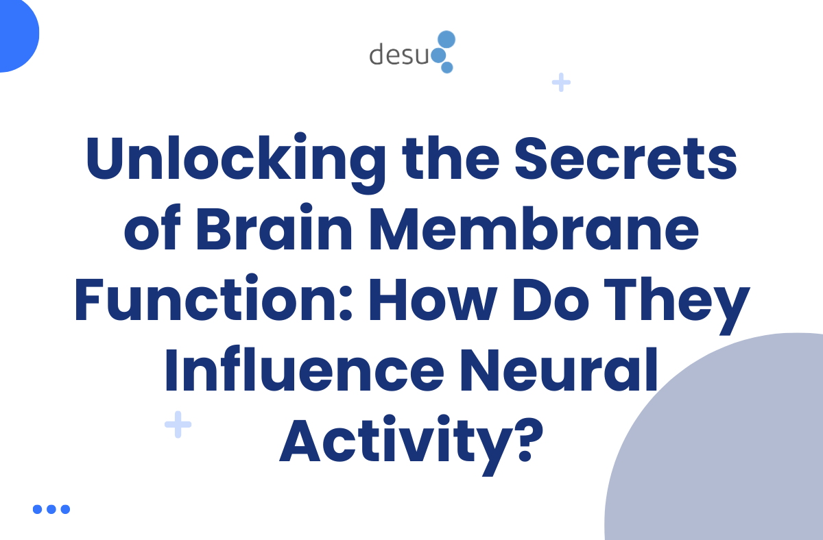 Unlocking the Secrets of Brain Membrane Function: How Do They Influence ...