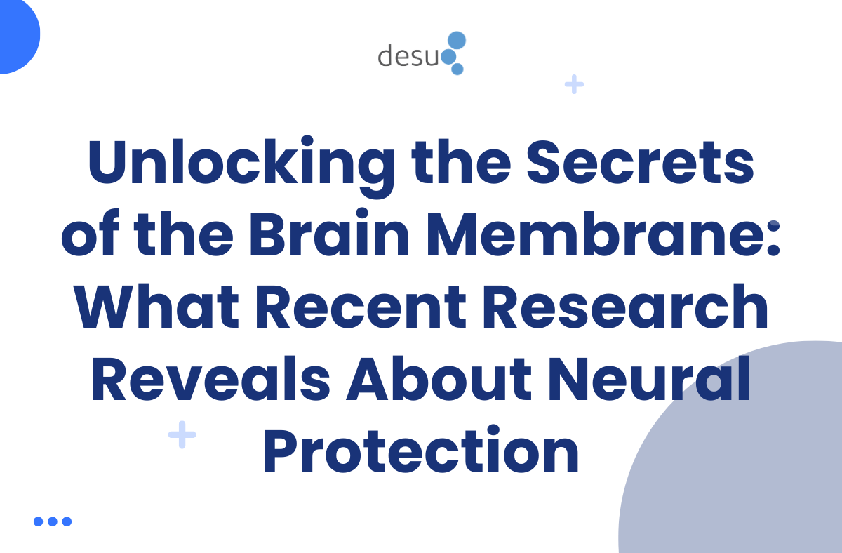 Unlocking the Secrets of the Brain Membrane: What Recent Research ...